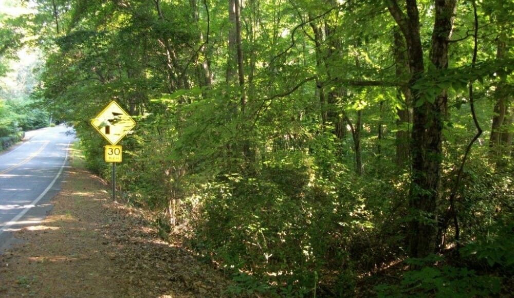 Berkeley Lake Restoration Site of the Georgia Native Plant Society