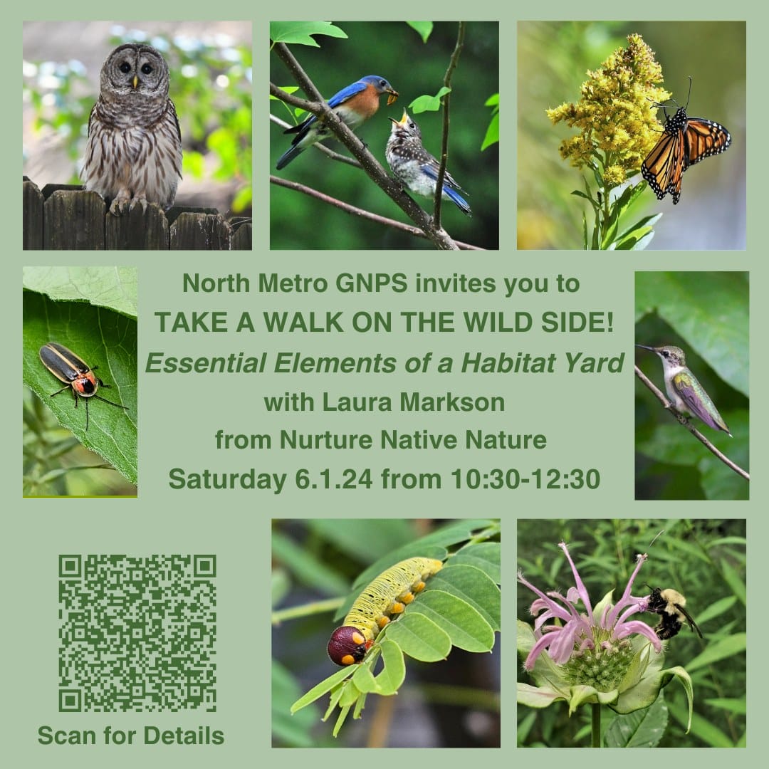 Take a Walk on the Wild Side - Essential Habitat Elements of a Rewilded ...