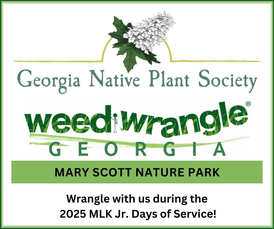 POSTPONED TO FEB. 1 Weed Wrangle at Mary Scott Nature Park - GNPS