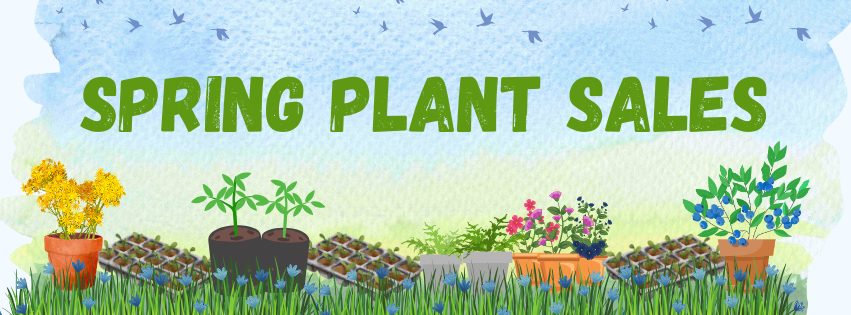 Spring 2025 Plant Sales - GNPS