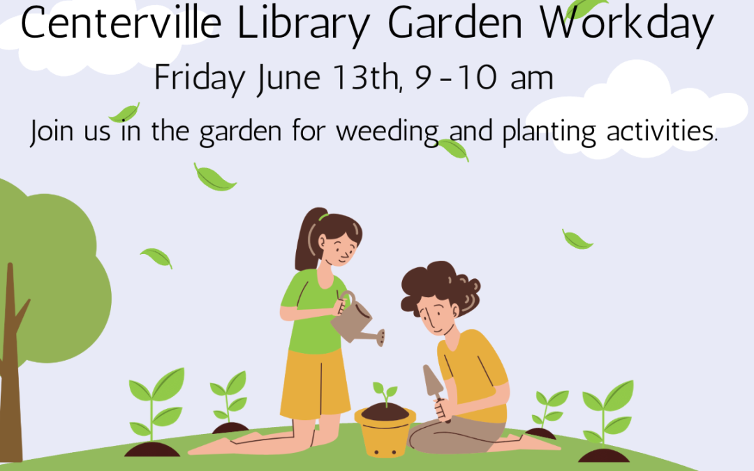 Centerville Library Native Plant Garden Work Day - GNPS