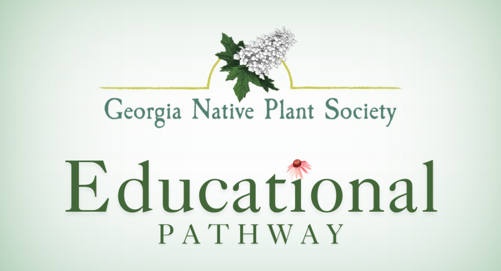 Educational Pathway - GNPS
