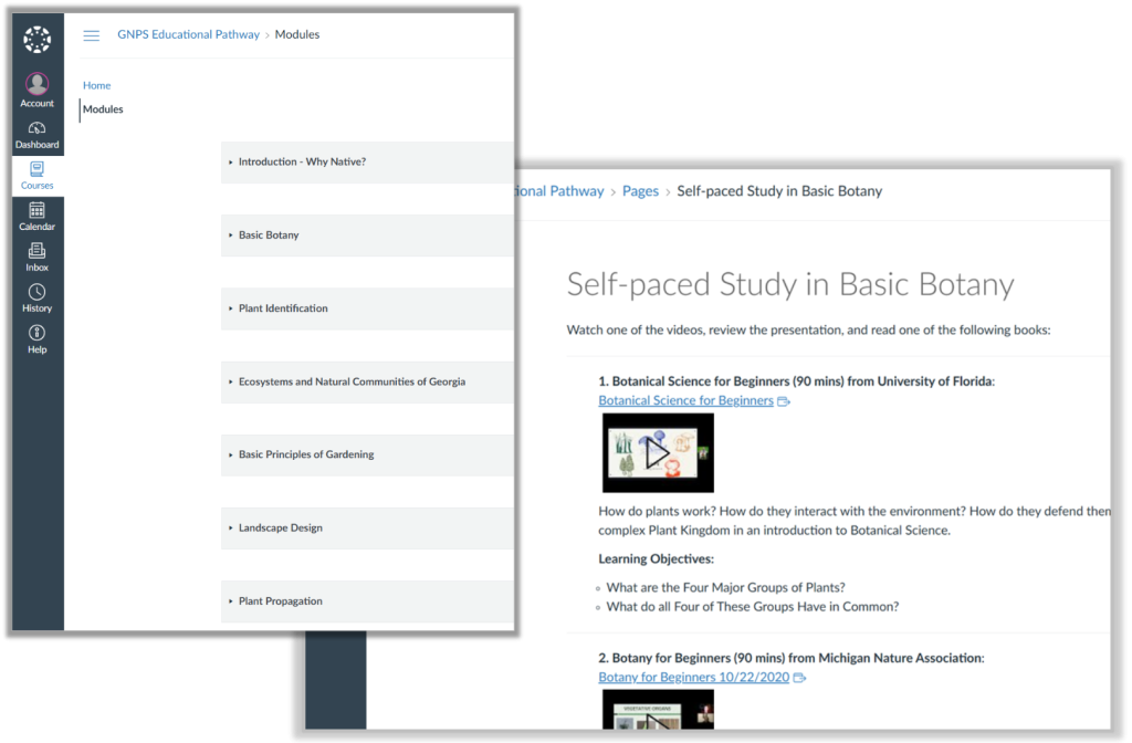 Educational Pathway - GNPS