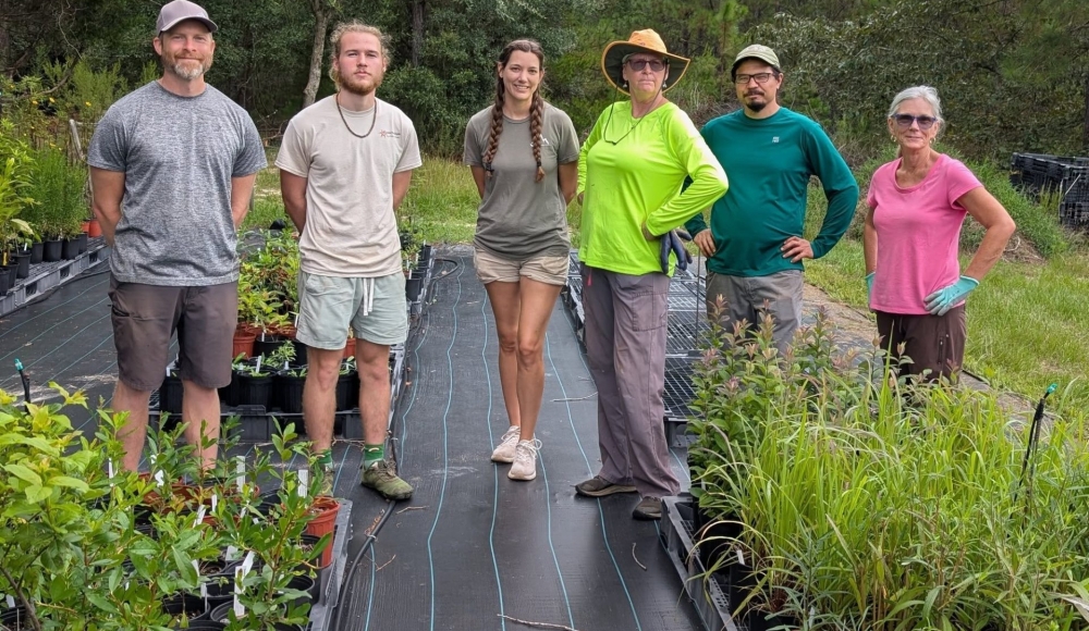Boy Scout Road Nursery - GNPS