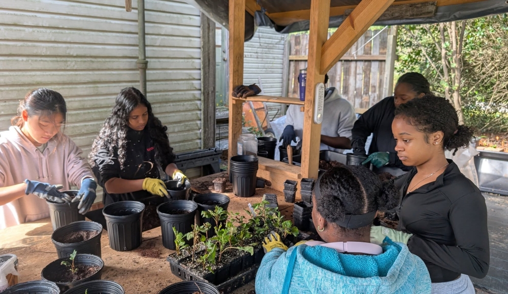 Boy Scout Road Nursery - GNPS